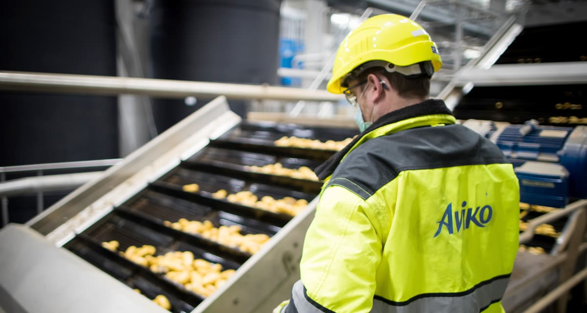 Aviko draait proef in modernste fabriek voor frietjes van Europa | Pack ...